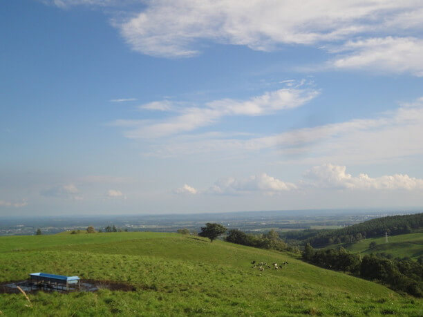 その広さ、日本一！ナイタイ高原牧場 | JTRIP Smart Magazine 北海道